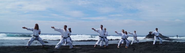 The dojo closed on Sat, August 4th – Emerald City Karate